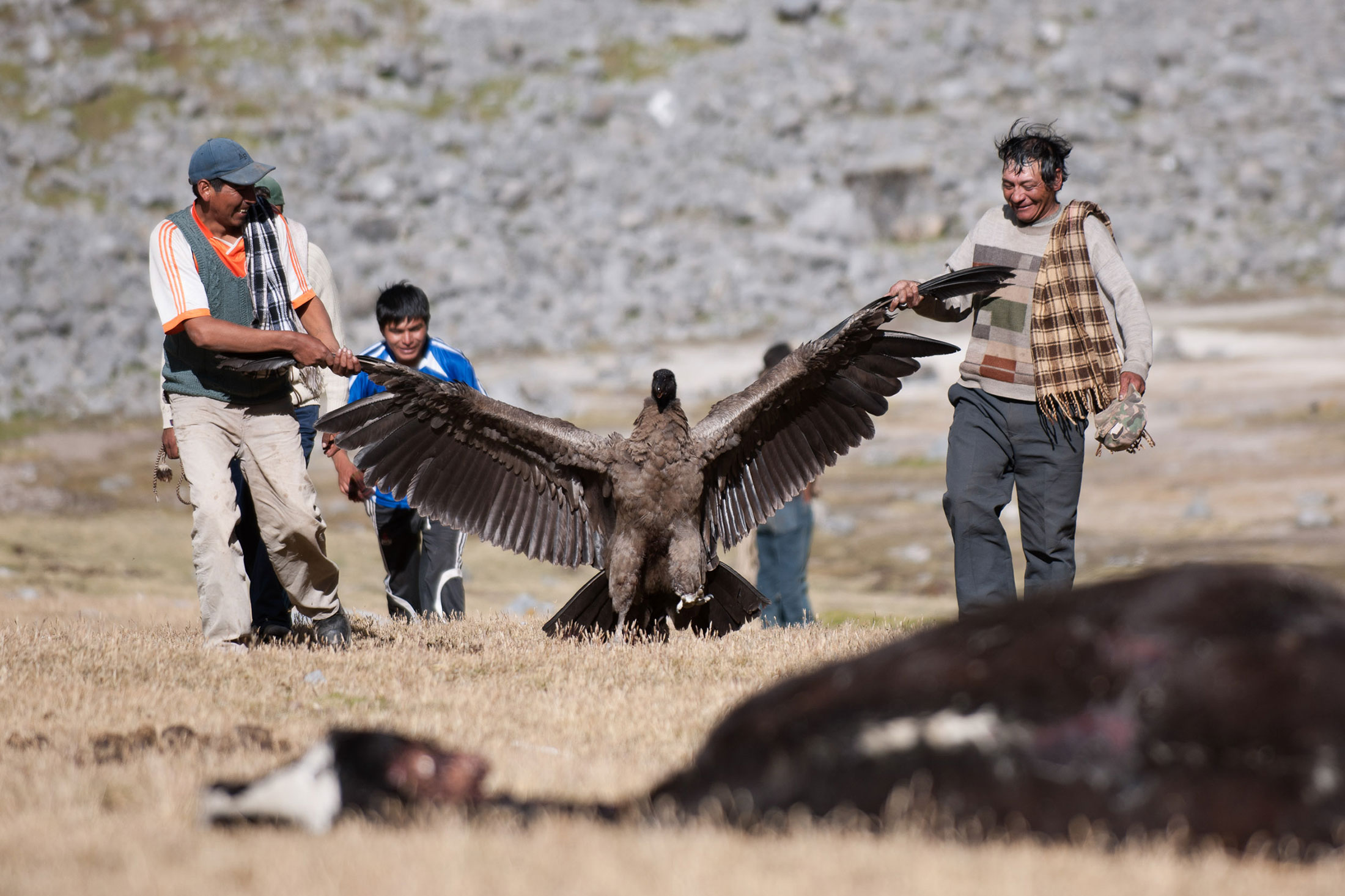 Condor Men | Nicolas Villaume photographer